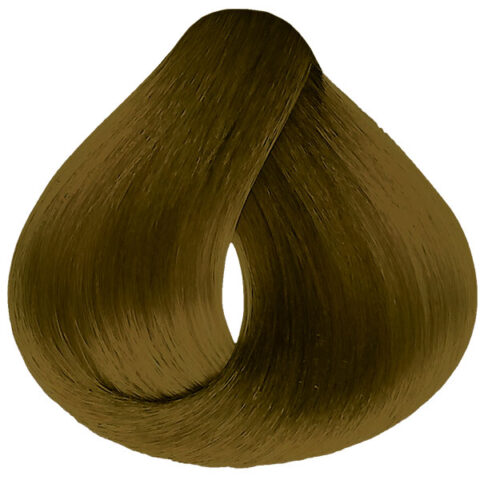 Carta color 317 | Hedaly S.A